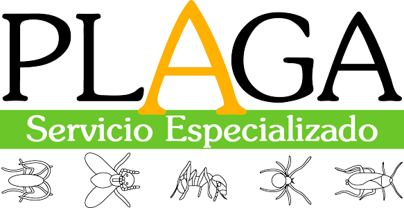 Fumigaciones para Termitas - Plaga Servicio Especializado